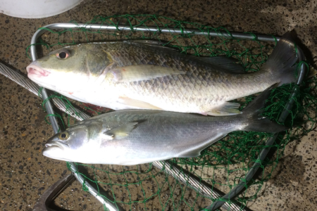 ABOUT US - Riverside Burrum Heads